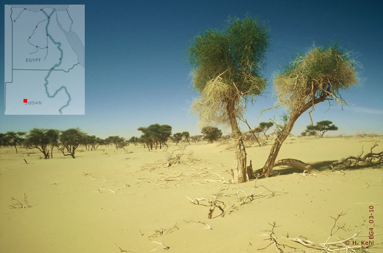 Landscapes near El Atrun and Rahib Wells - Wadi Natrun (NW-Sudan) / LV ...