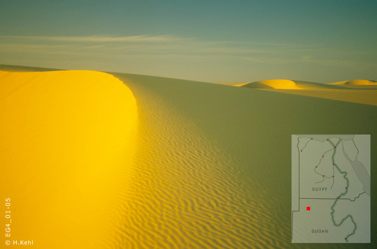 Wüstentypen - Sandwüste oder Erg / LV-TWK Kehl